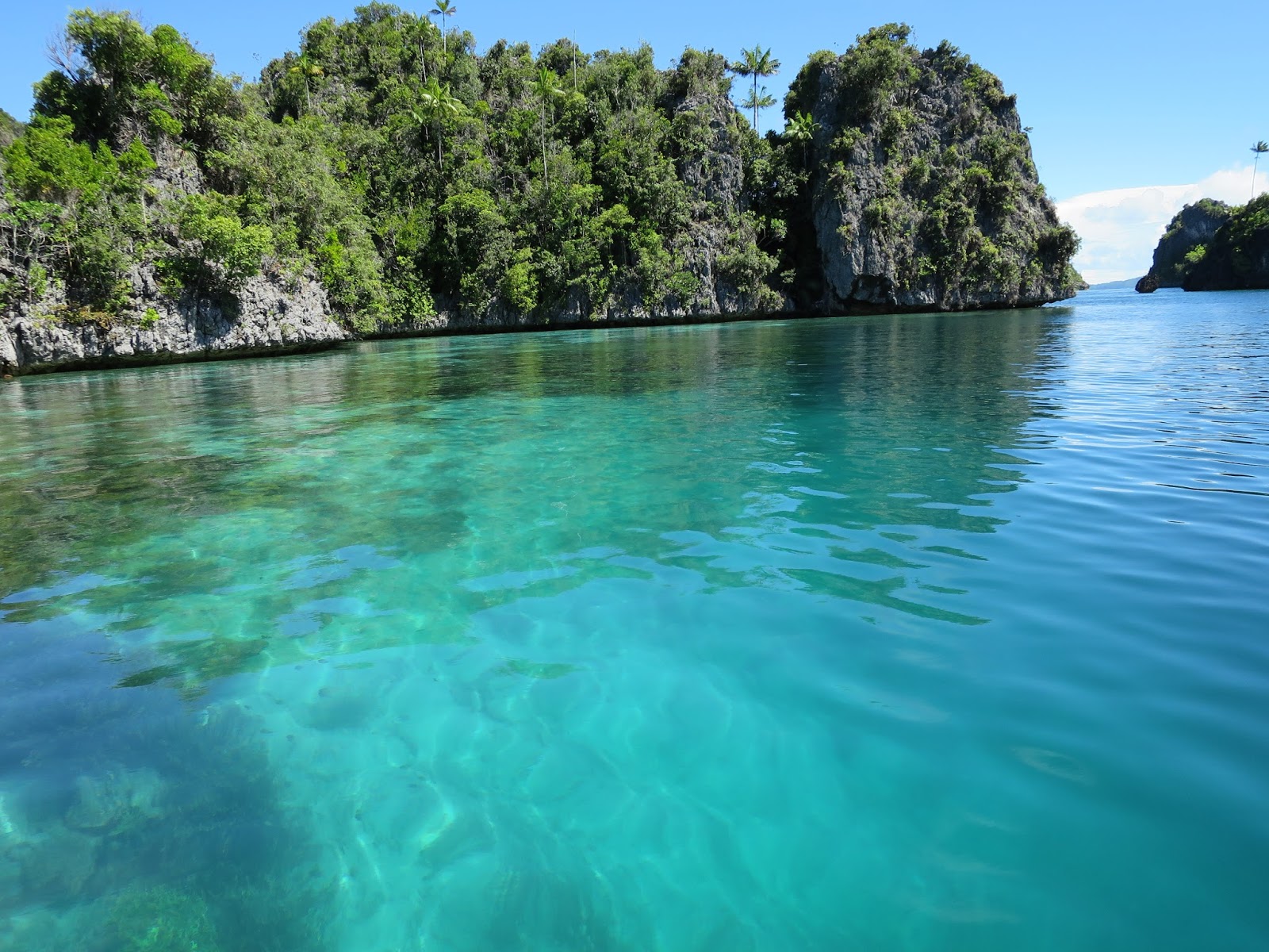 The Great Misool Island :: Diving Misool Raja Ampat