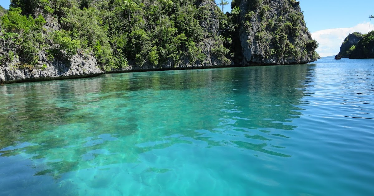 The Great Misool Island :: Diving Misool Raja Ampat
