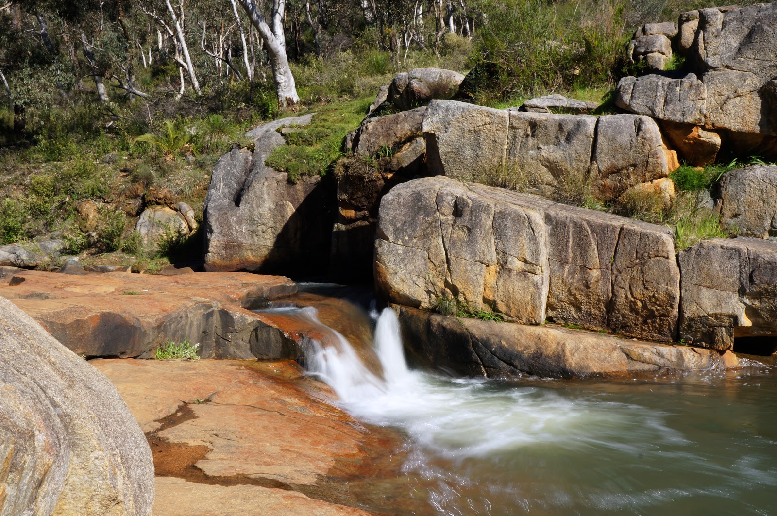 Piesse Gully Loop (Kalamunda National Park) ~ The Long Way's Better