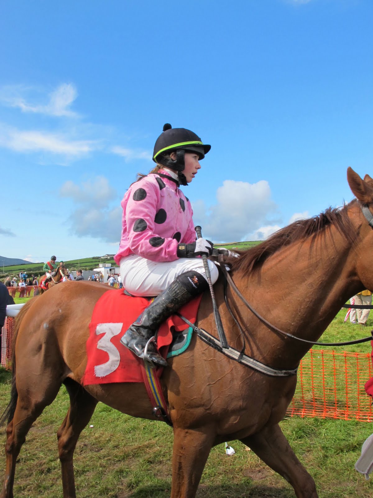 William Morris Fan Club: The Dingle Races, Co. Kerry, Ireland
