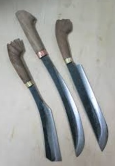 Anim Agro Technology: PARANG DI KEBUN NANAS