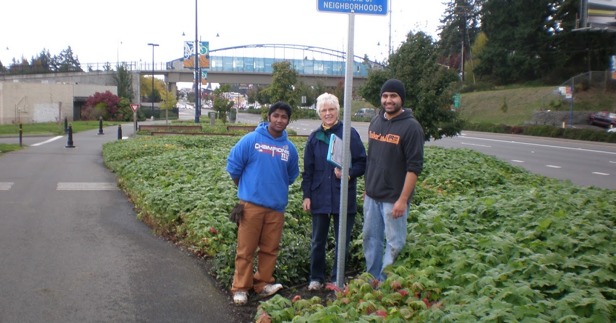 Shoreline Area News: Weed the Interurban with the Council of Neighborhoods