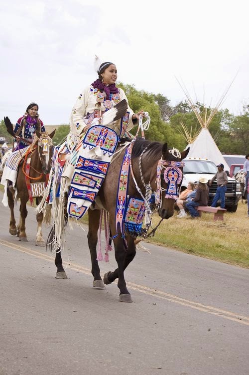White Wolf : The Horse’s Role In Native American And Plains Indian ...