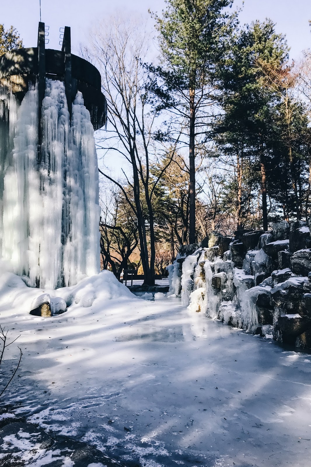 Photo Diary: Winter at Nami Island, South Korea — The Good Weekender