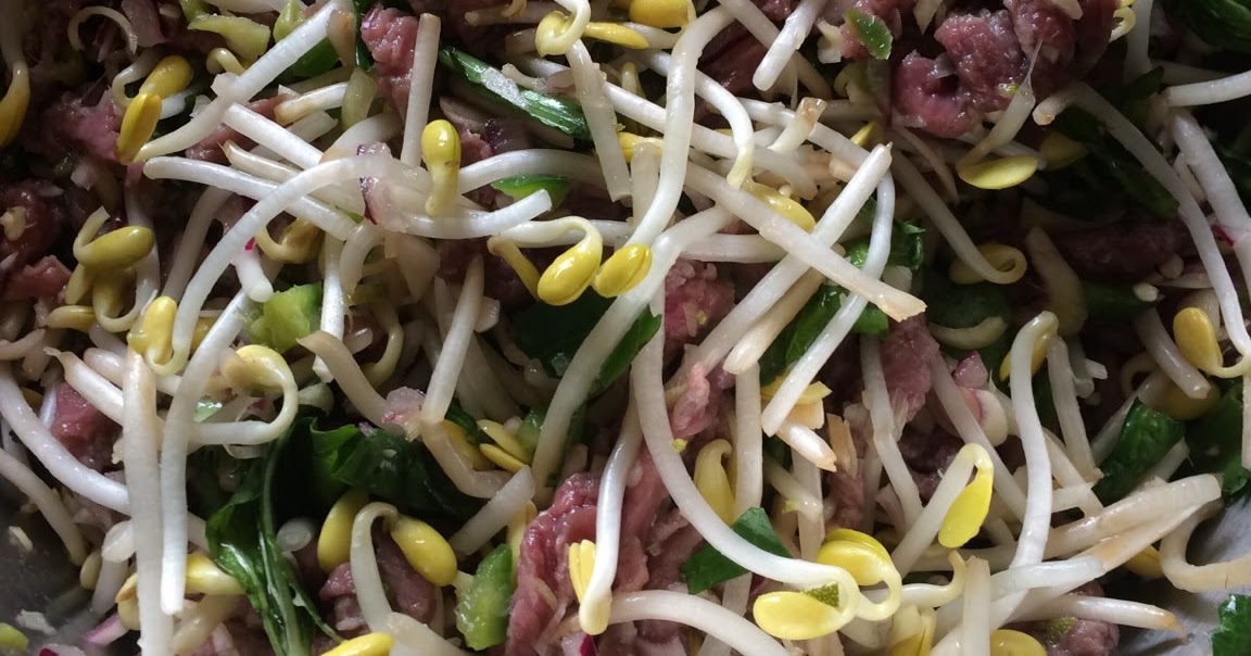 Snippets from a Khmer Soul: Khmer Beef Salad or Pleah Saiko