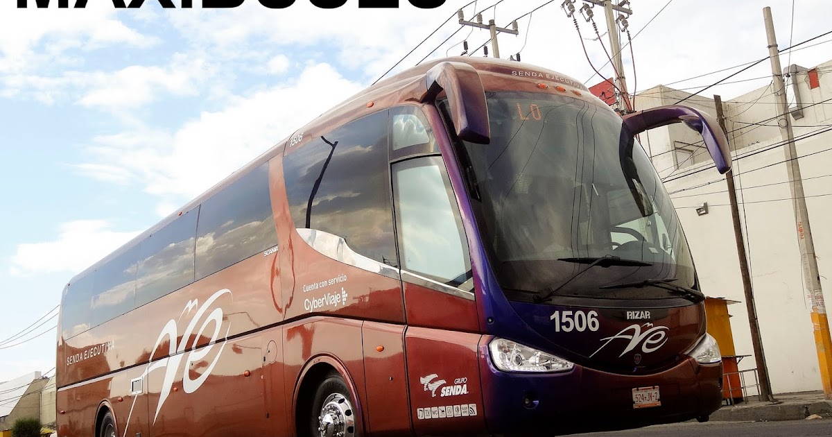 MAXIBUSES: AVE SENDA EJECUTIVA