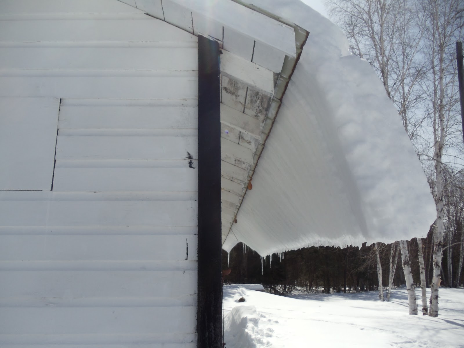 The Wabun Times: Winter Times in Temagami