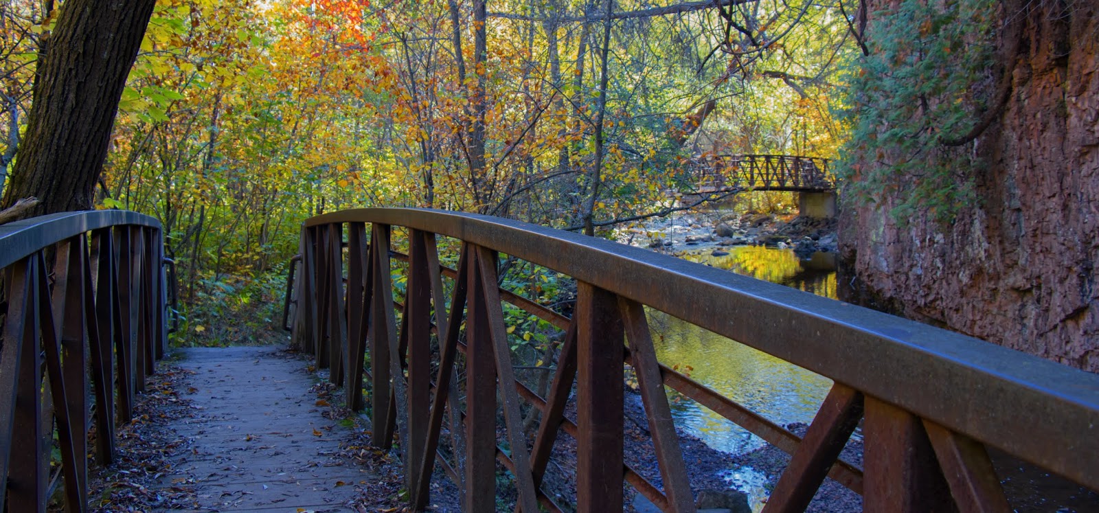 Reminisce Images by Stefanie: 2018