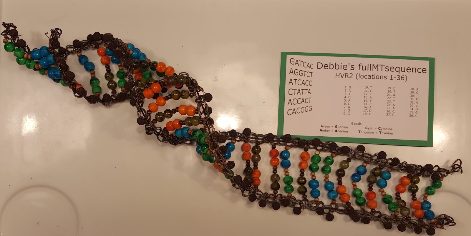 Deb's Delvings in Genealogy: DNA Helix beaded model