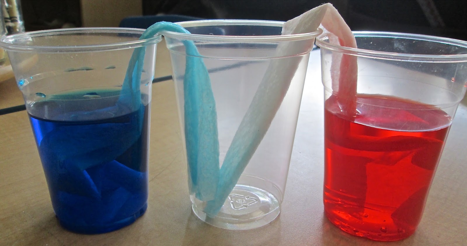 Mrs. Garrabrant's Classroom: Leaf Pictures, Purple Experiment, Library ...