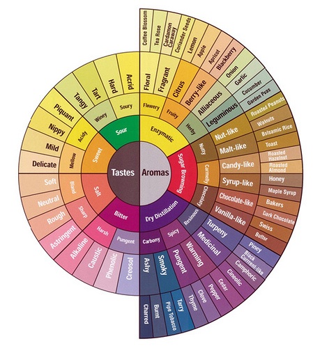 Blog UnoCafé: La rueda de descriptores de aromas y sabores del café ...