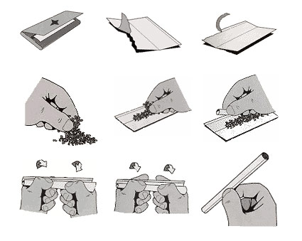 Sedas e Bongs: Como bolar um baseado