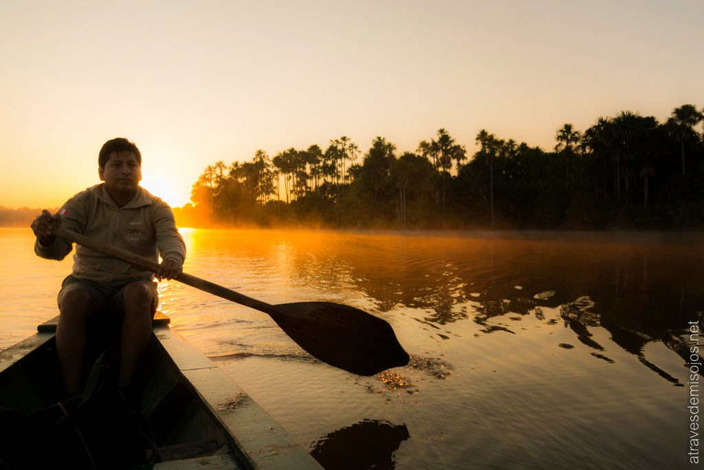 Pajareando por Perú: Selva: Lago Sandoval y Reserva Nacional de Tambopata