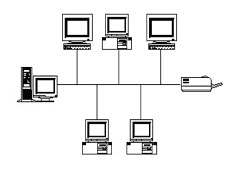Computer Network: Types of Computer Network Topology