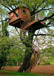 Pictures of Tree Houses and Play Houses From Around The World, Plans ...