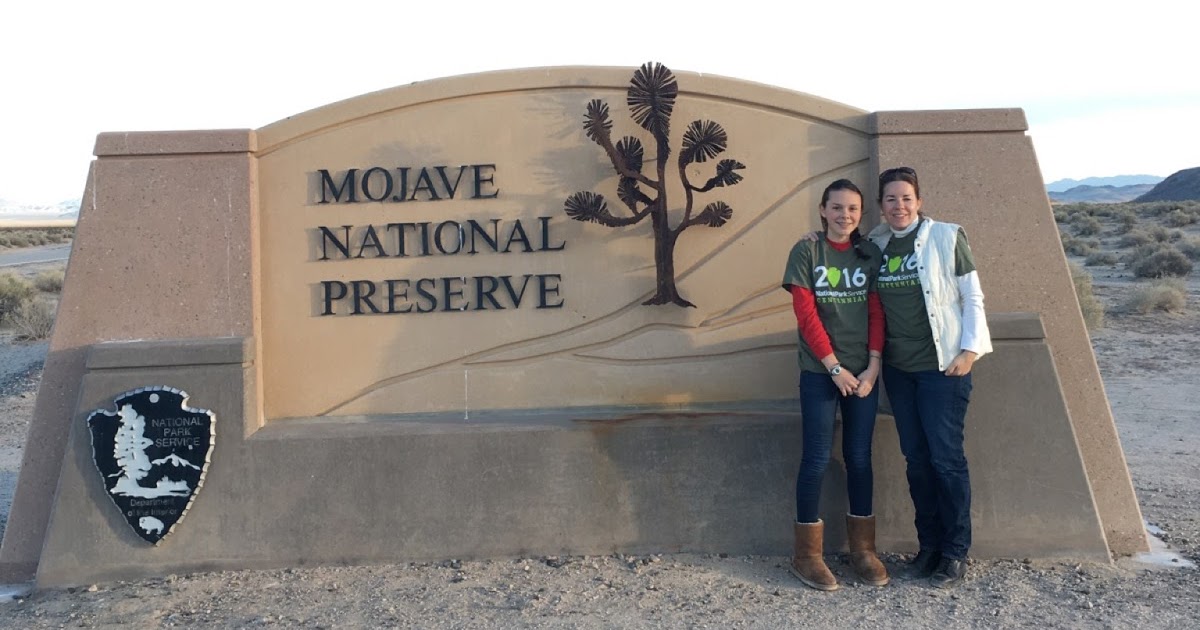 Carful of Kids: Mojave National Preserve in Southern California