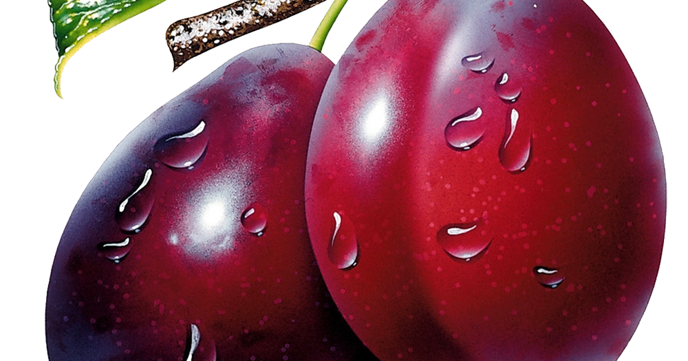 THE HUB: Four Prunes