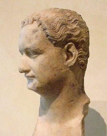 Elektratig: Did Domitian Wear a Wig?