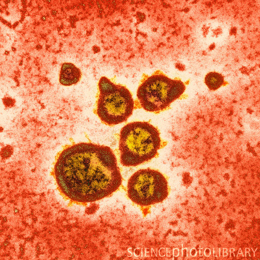 Rule of 6ix: January 2012