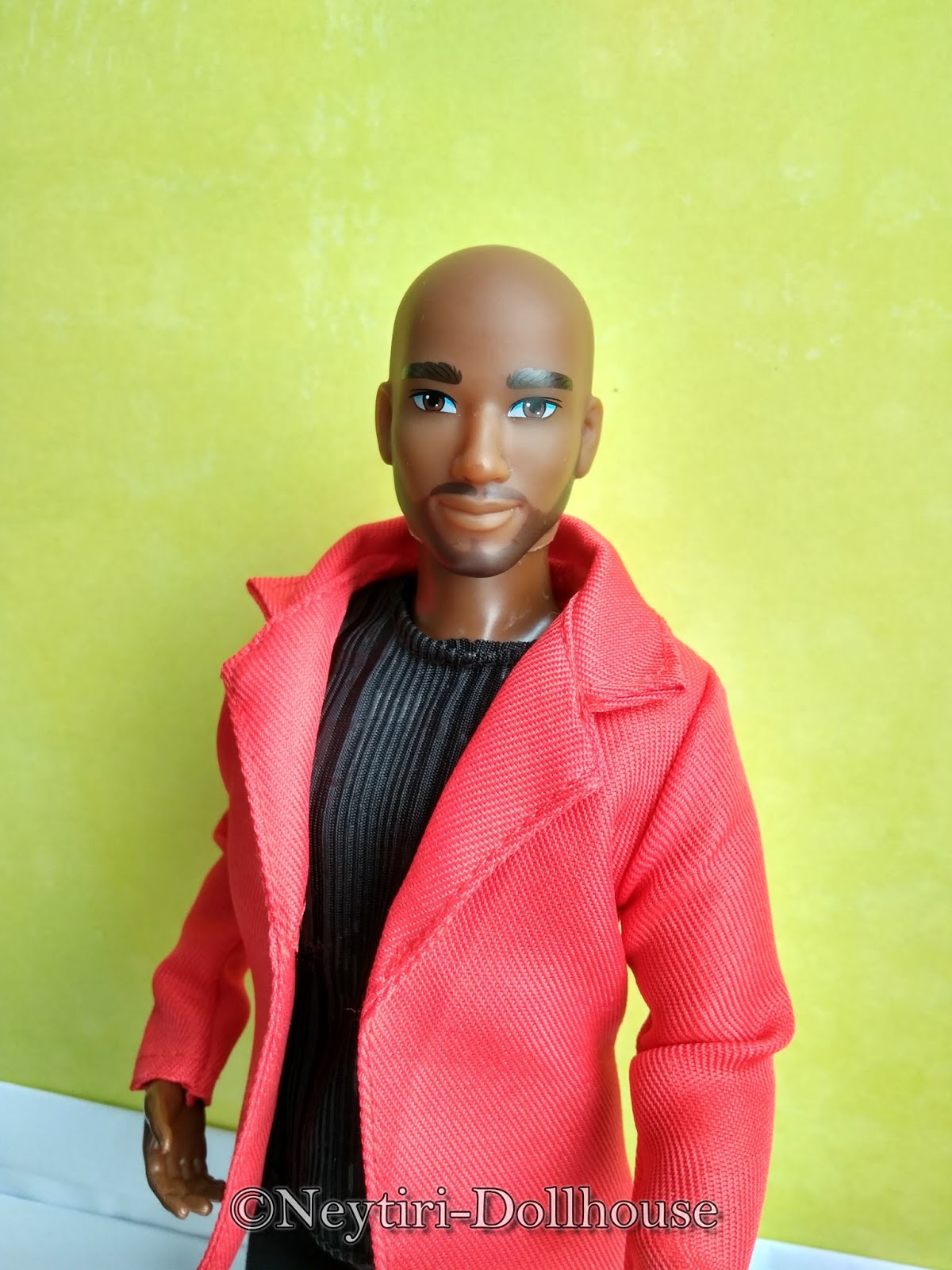 Dollhouse: stycznia 2019