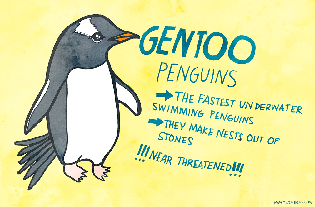 My Zoetrope: 099: Gentoo Penguins