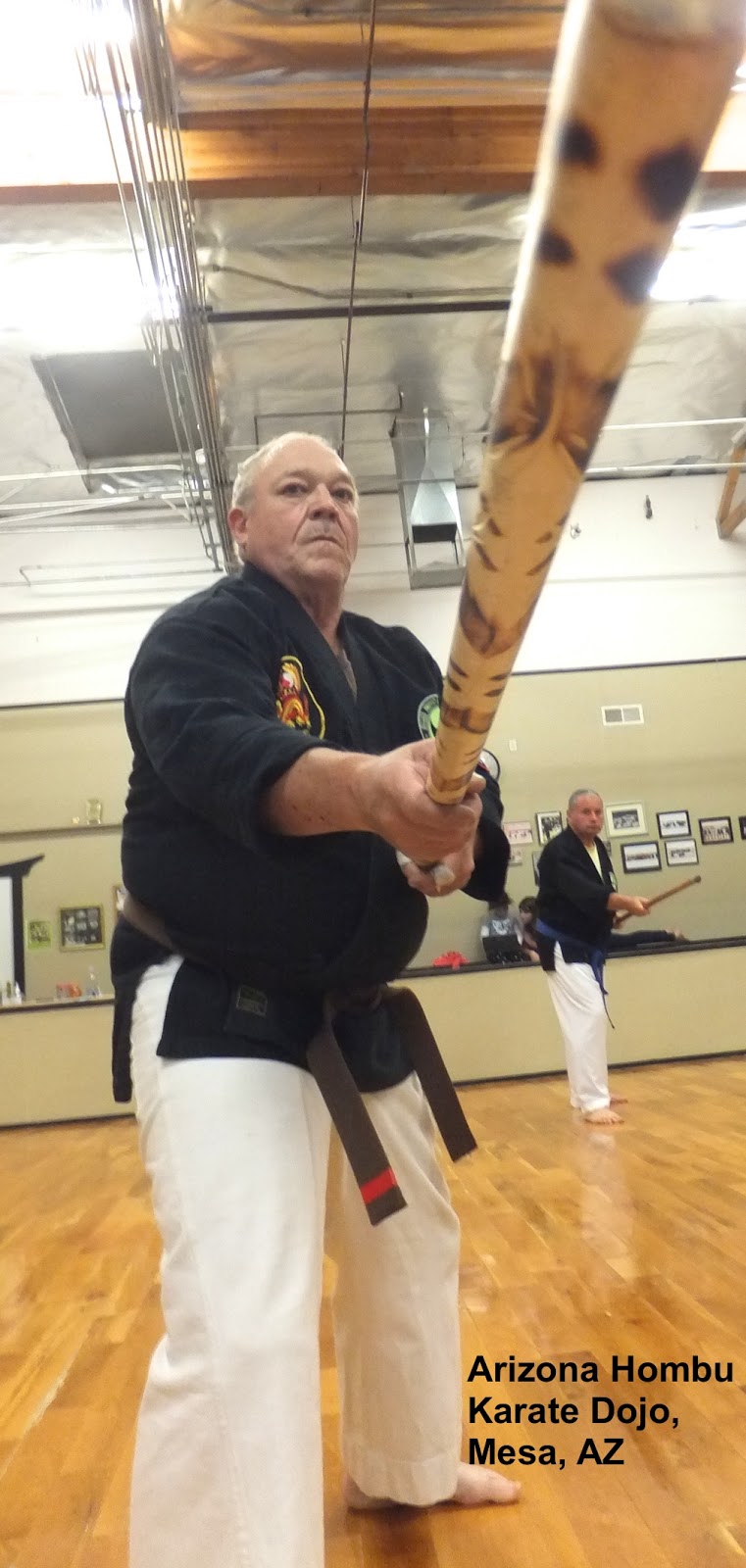 Okinawa Bo - Traditional Martial Arts Kobudo Weapon: Bojutsu - the ...