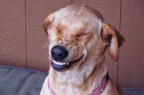 Don't take drugs in school