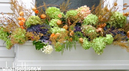 What's Old Is New: Hydrangea Window Box