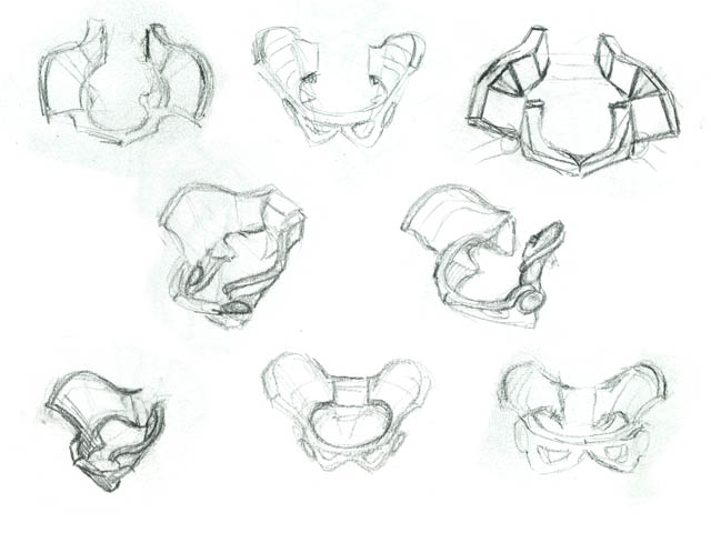 Illustration Fixation: Skeleton Model