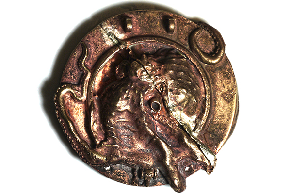 The Adventures of Kathryn & George: Octopus Medallion