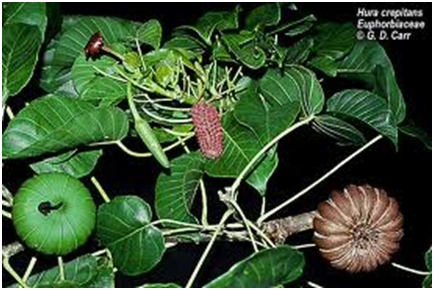 The Enlightened Views: Yoruba Assignment