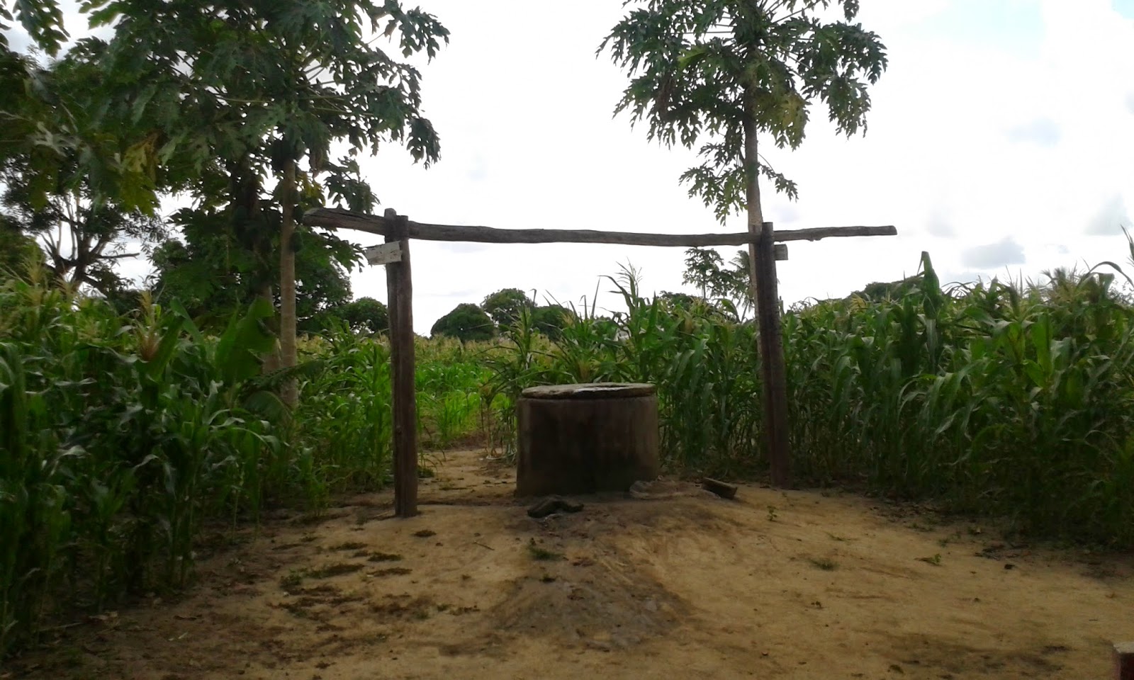 The Migration of the Chickadee: Welcome to Machanga