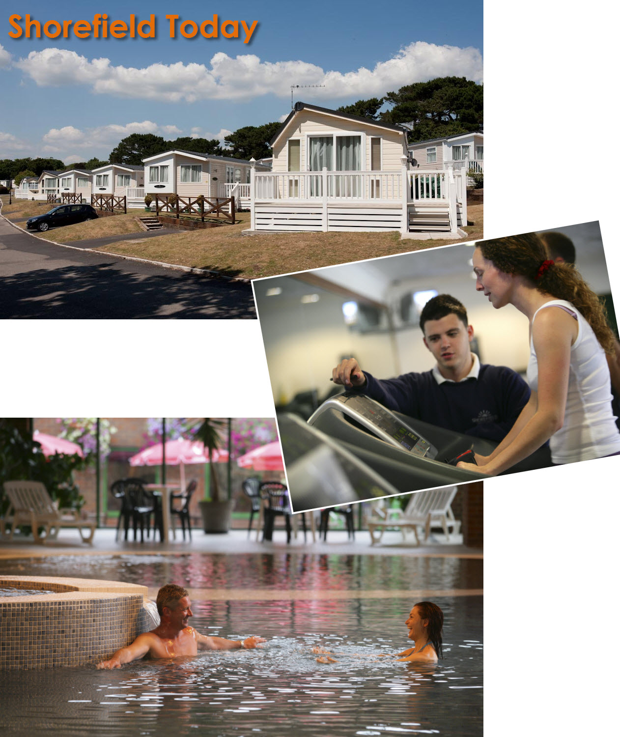 Enjoy Milford on Sea: Discovering inside Shorefield