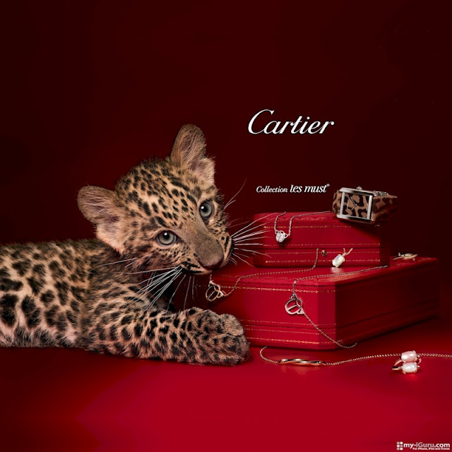 Le blog de Mademoiselle Julie-Marie: Cartier, l'Odyssée