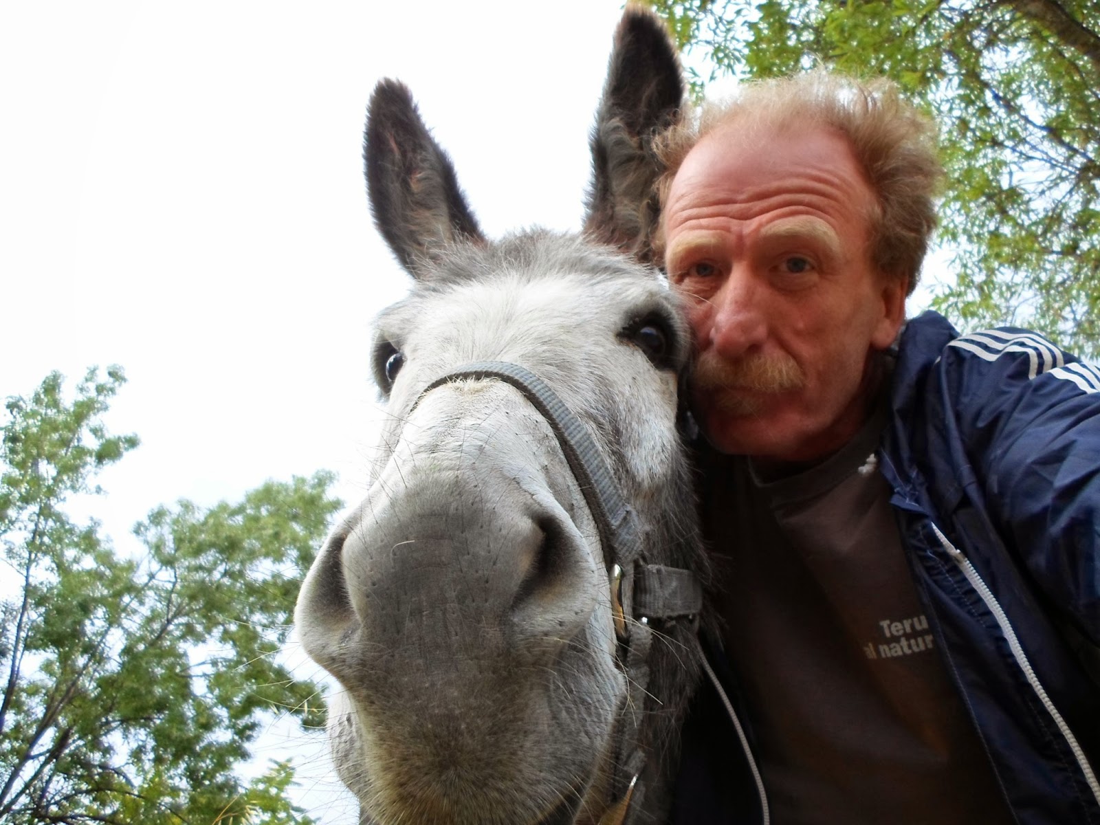 Ciudadano del mundo: Einstein, mi burro, y yo.