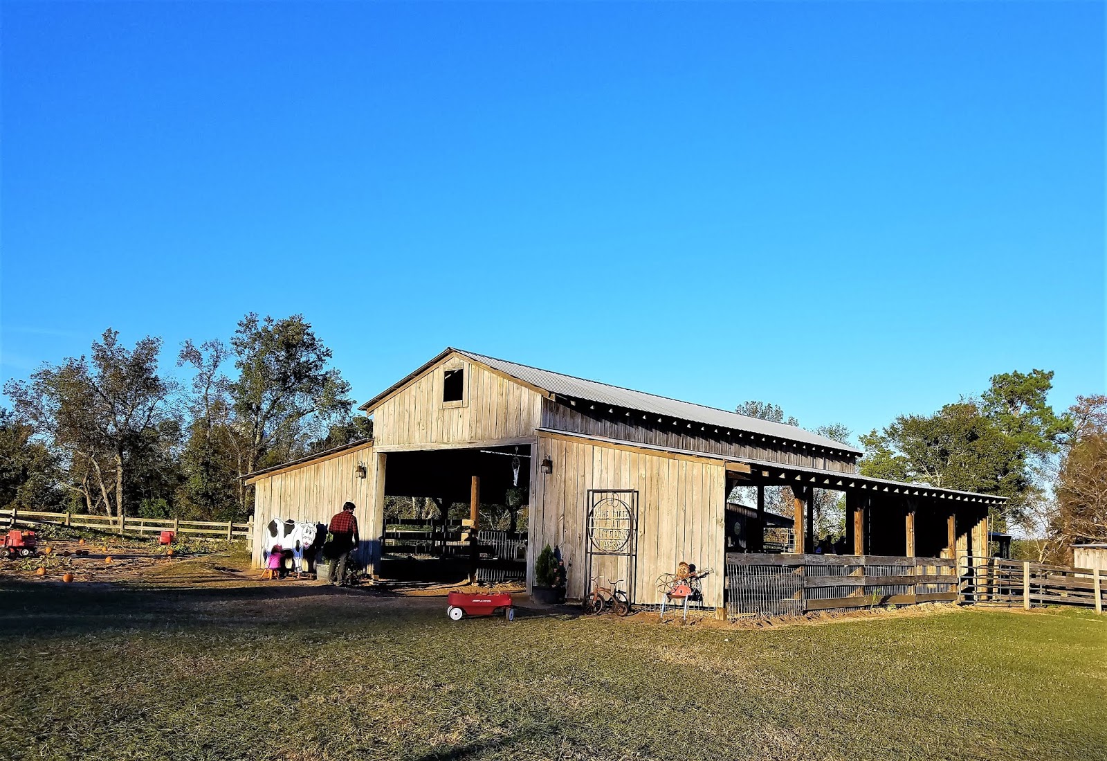 Another Mile Another Destination Blog: Steed’s Dairy Farm and The Corn ...