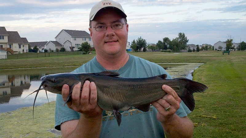 FishnDave: Grass Carp? Catfish!