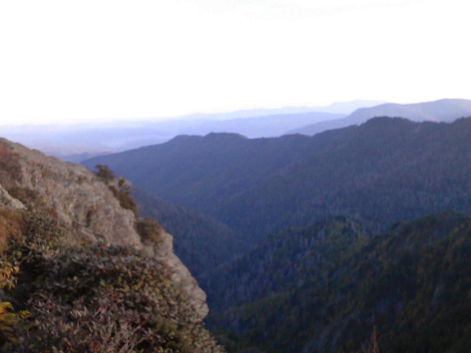 Hikes: AT (NFG to Snake Den) - Snake Den