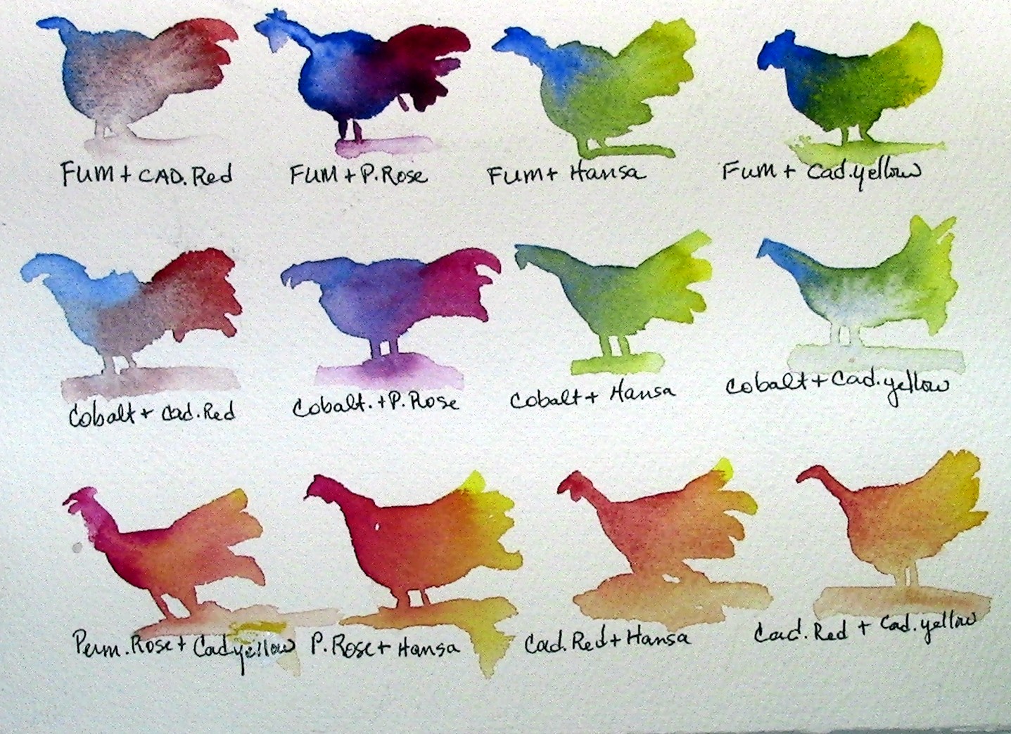 Create 2013 Rainbow Studies – Jacqueline Newbold