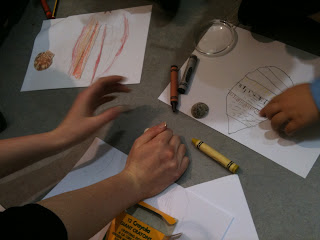 Science Observation Lesson