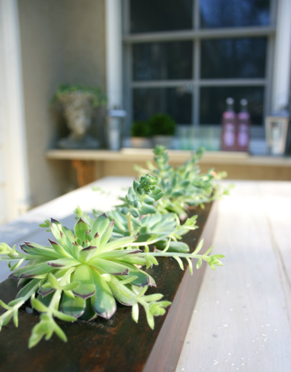 ciao! newport beach: today's outdoor vignettes