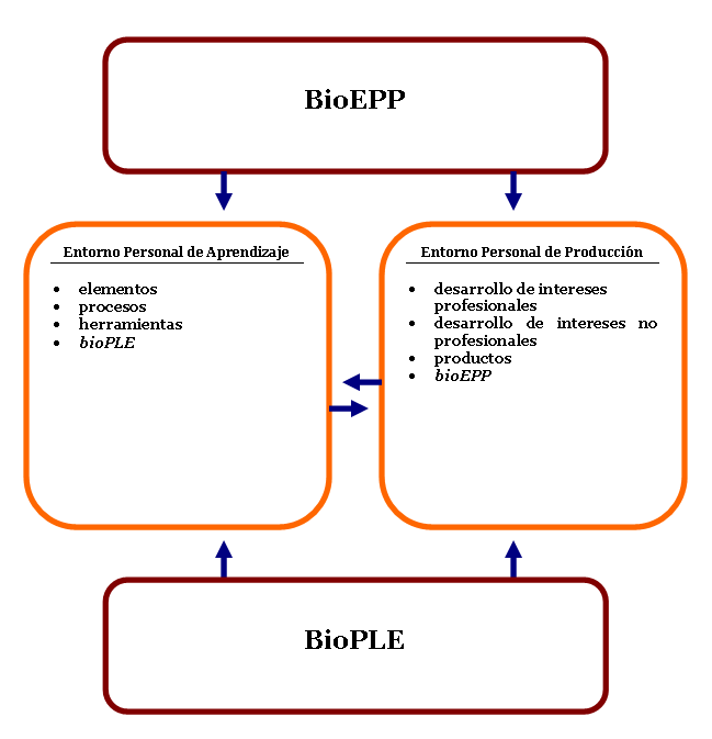 Esferas: QUÉ ES UN BioPLE