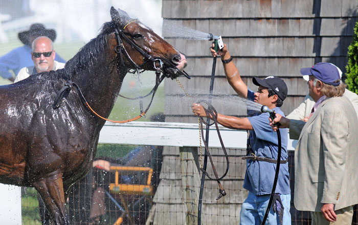 Tom Kelly IV - Recent Works: The 2012 Radnor Hunt Races