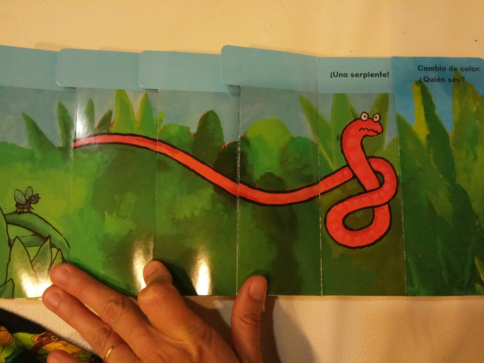 Coleccionando cuentos: Veo Veo ¿A quién ves?