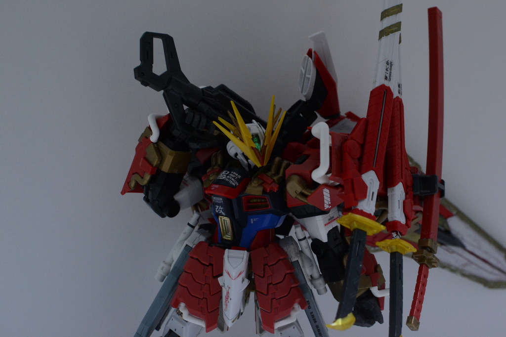 Gundam Family: 1/100 Musha Astray Custom Build