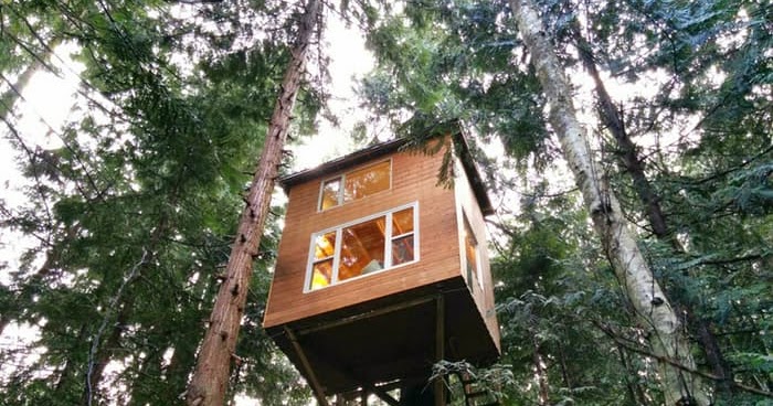 A $8,500 Tiny Treehouse [ TINY HOUSE TOWN ]