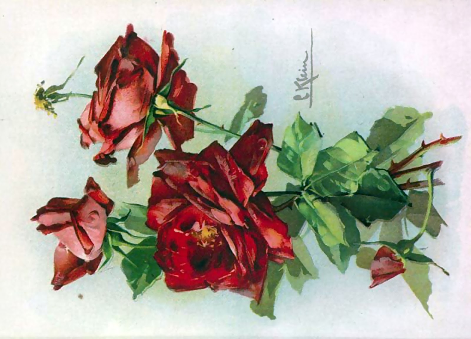 Vintage Art Red Roses Prints Postcard | Joy Design Studio