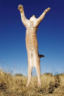 Life Verse Design: blogworthy: our CRAZY day at the zoo!