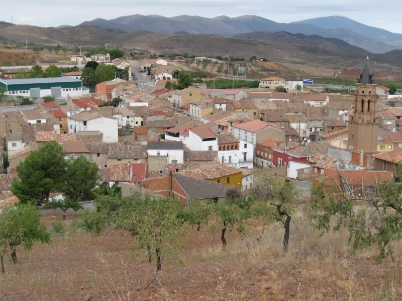 REPORTAJES: EL FRASNO