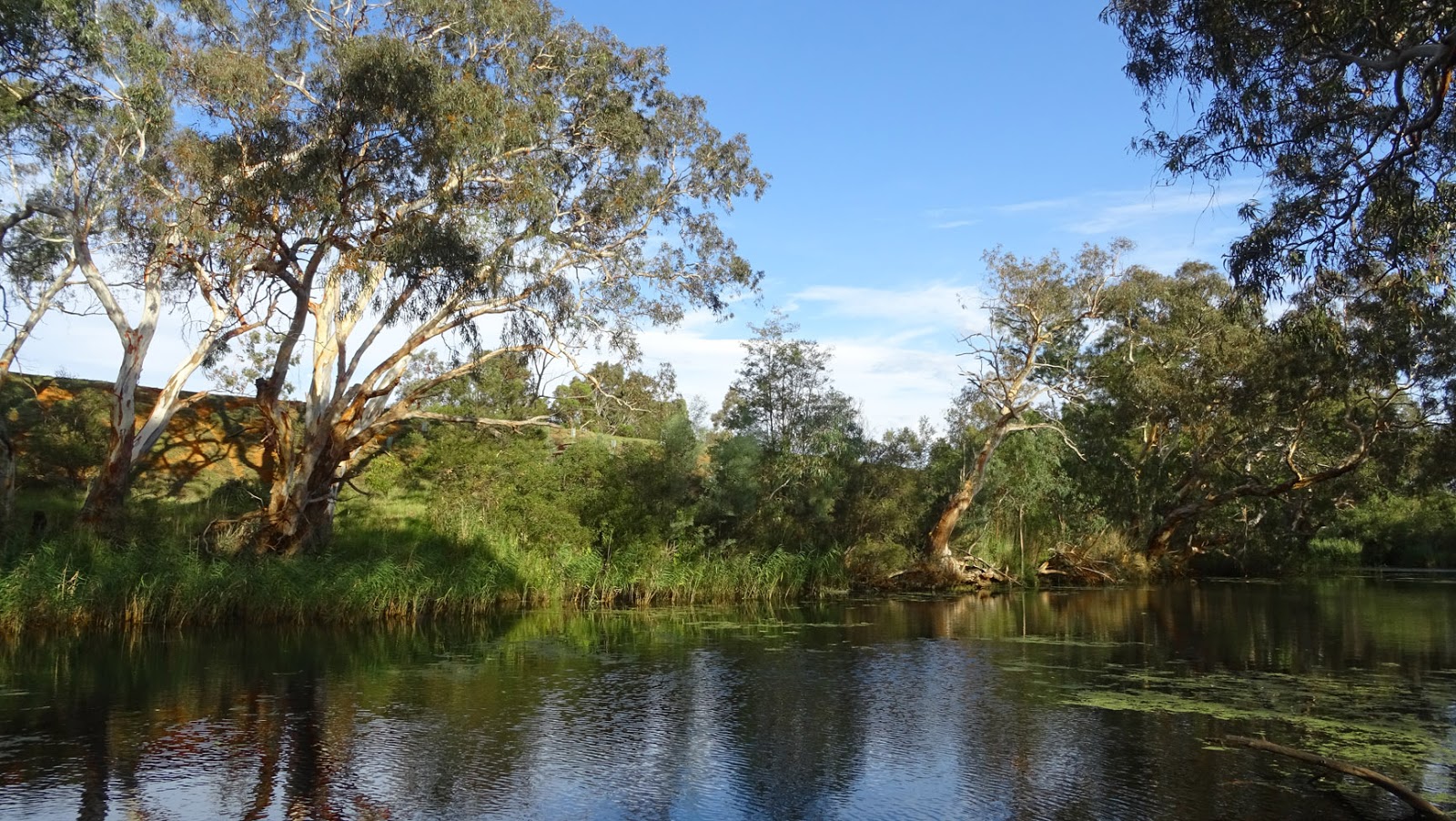 MAP: WERRIBEE RIVER BIRDS